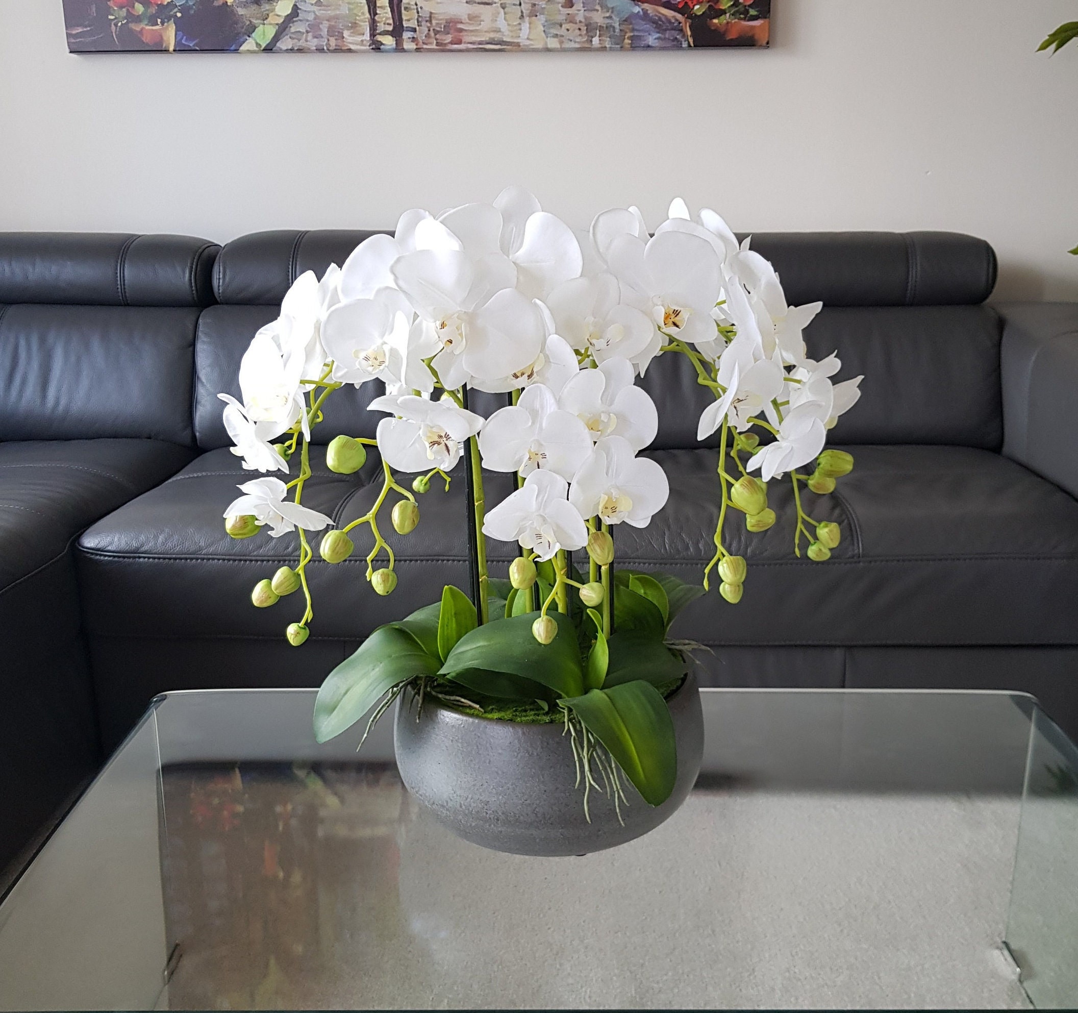 Luxury Real Touch Orchid - Artificial Orchid Flowers in Pot - White ...