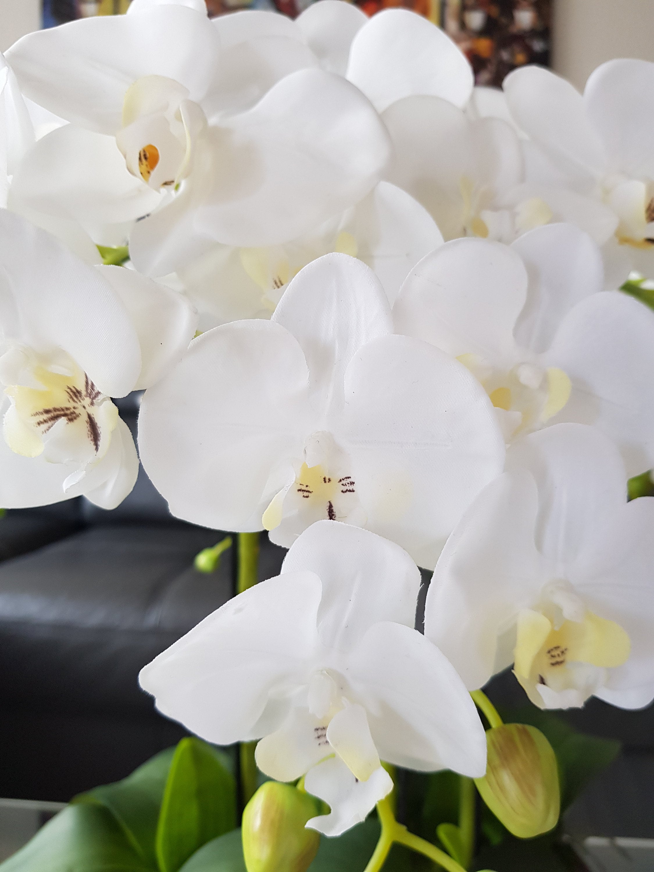 Luxury Real Touch Orchid Artificial Orchid Flowers in Pot - Etsy UK