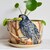 Custom Crow Ceramic Planter-handmade Ceramic Planter-bird Planter ...