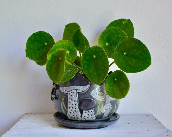 Custom Handmade Ceramic Planter-reptiletheme Planter Pot-pottery ...