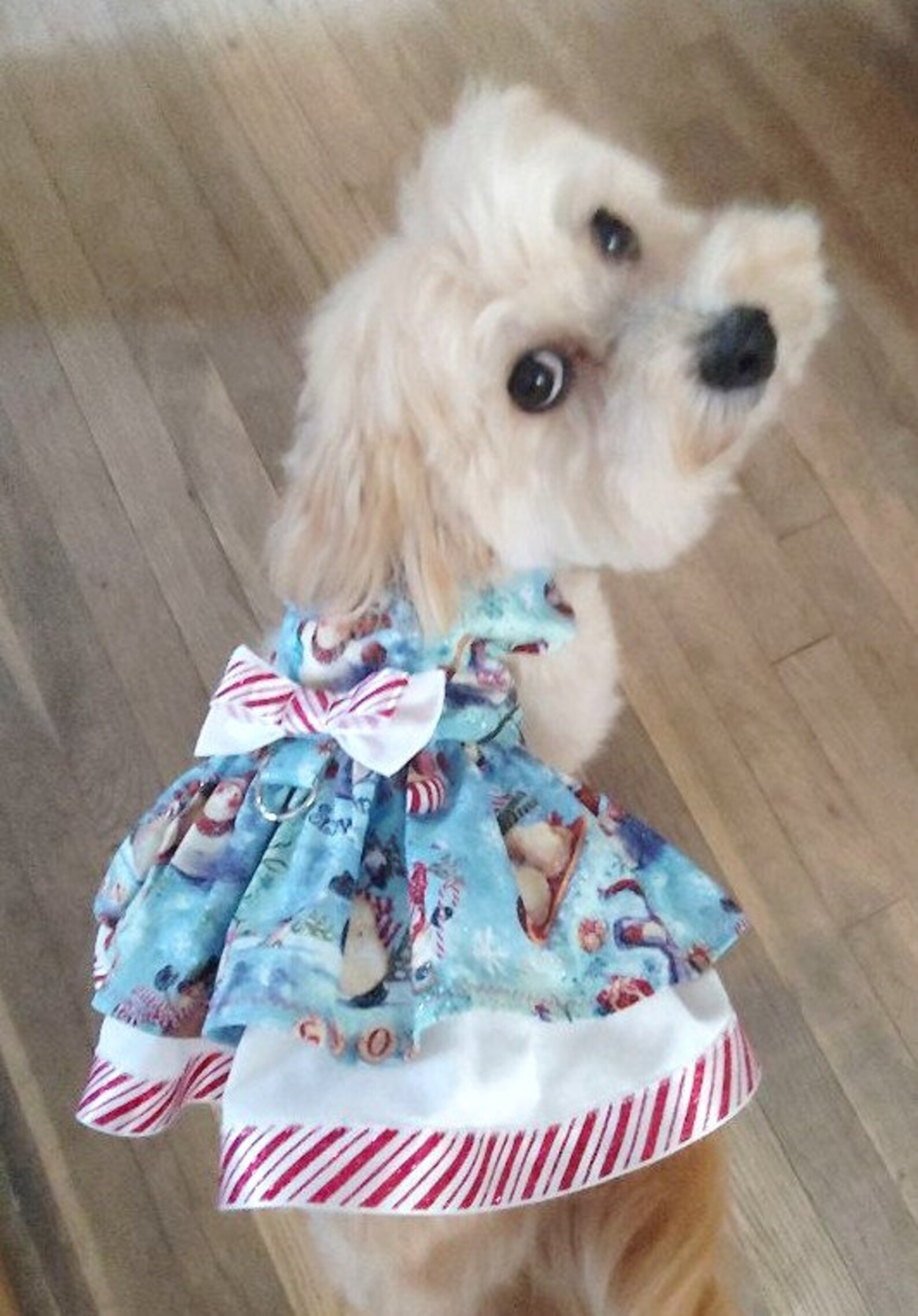 Dog Clothes Dog Dresses. Dresses for Dogs Small Dog Dresses - Etsy