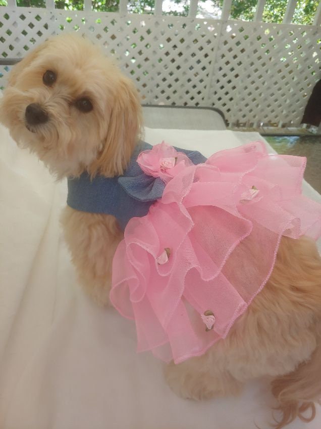 Dog Clothes Dog Dress Designer Dog Clothes Small Dog | Etsy