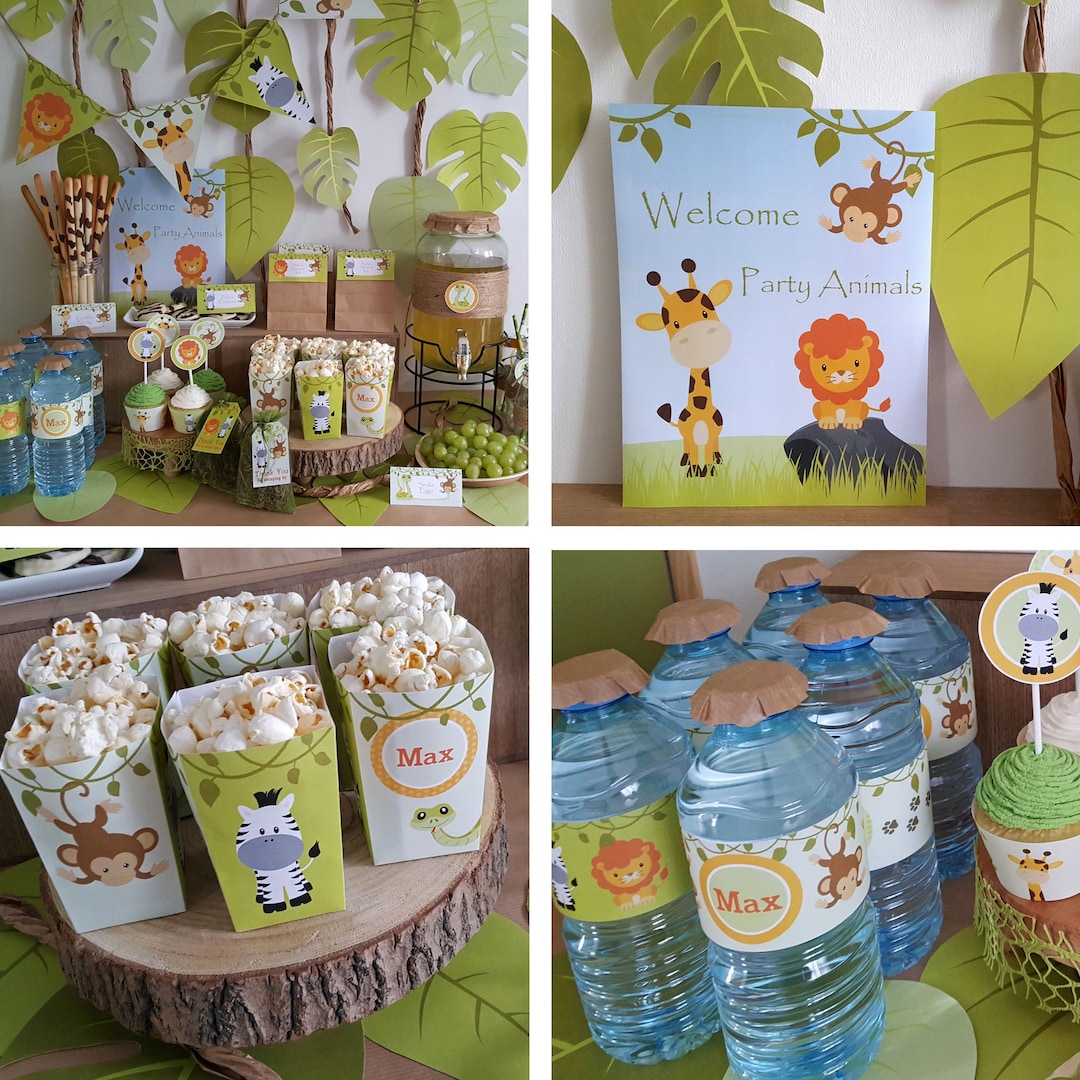 Safari Jungle Party Pack, Safari Birthday Decoration, Full Package ...