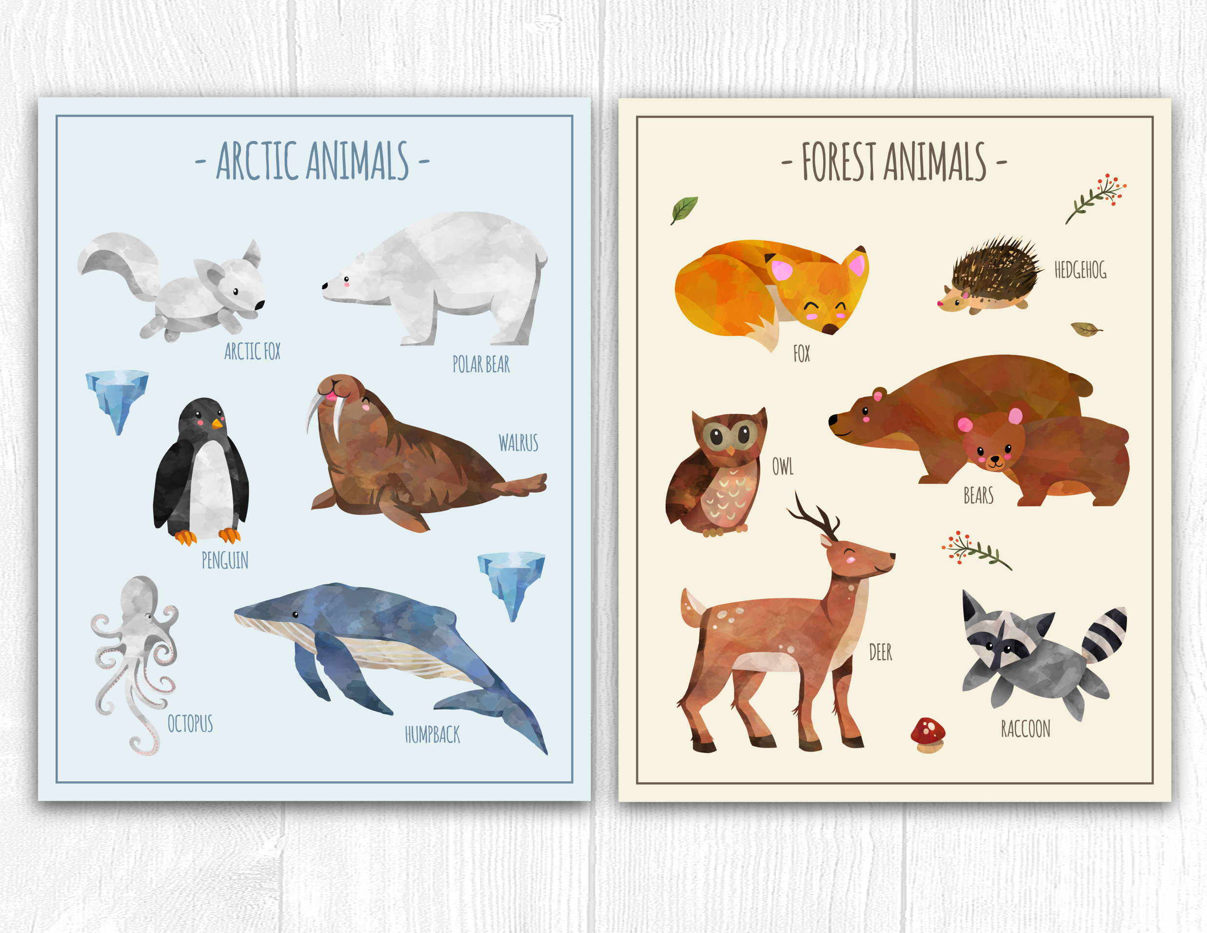 Arctic Animals