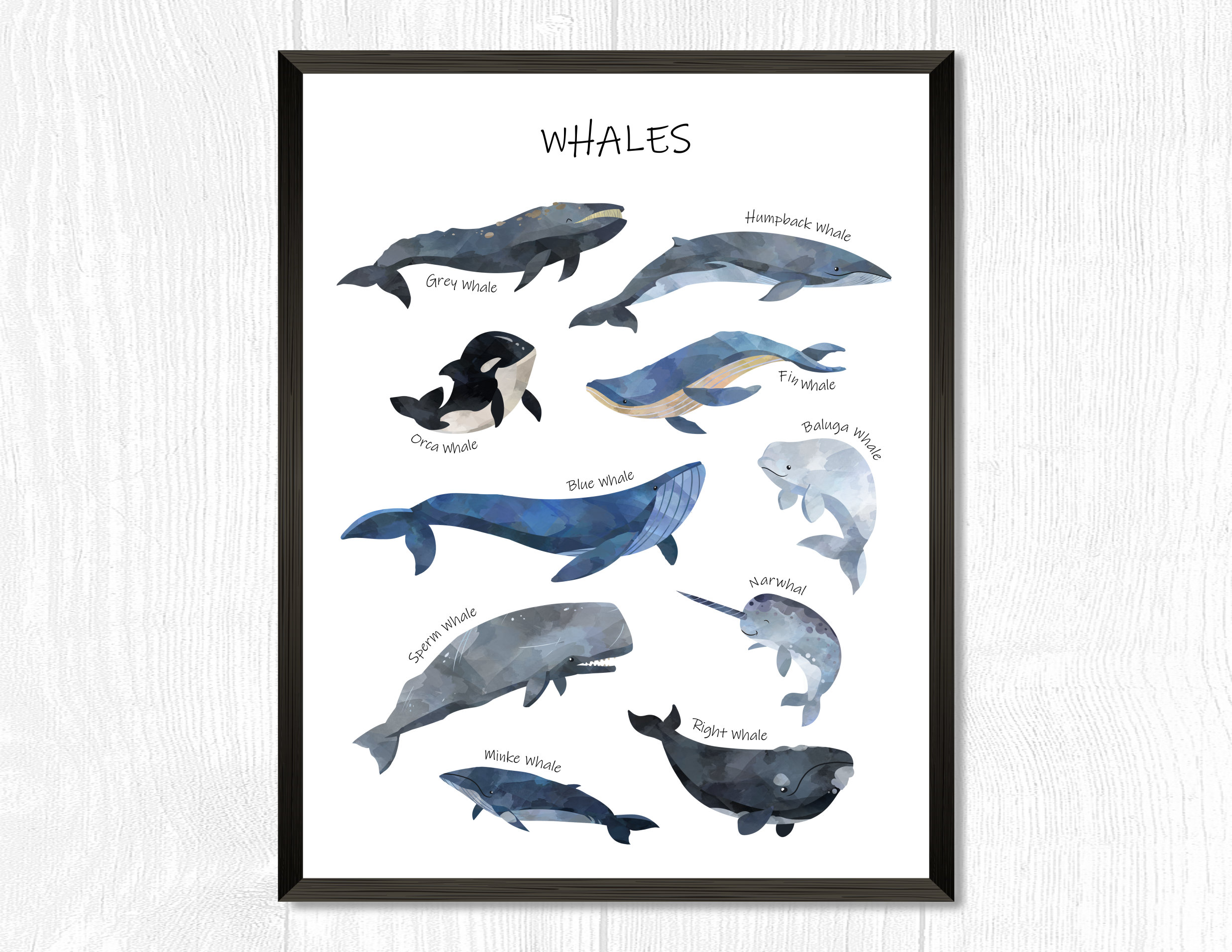 Whales Print, Whales Poster, Watercolor Whales Chart, Whale Nursery Art ...