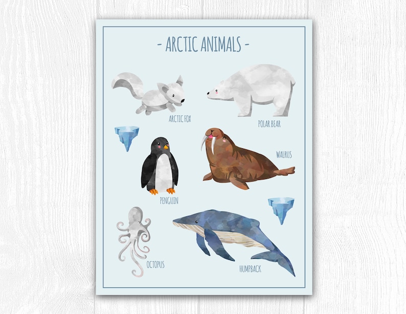 Arctic Animal Print, Arctic World Nursery Art, Arctic Printable Poster ...