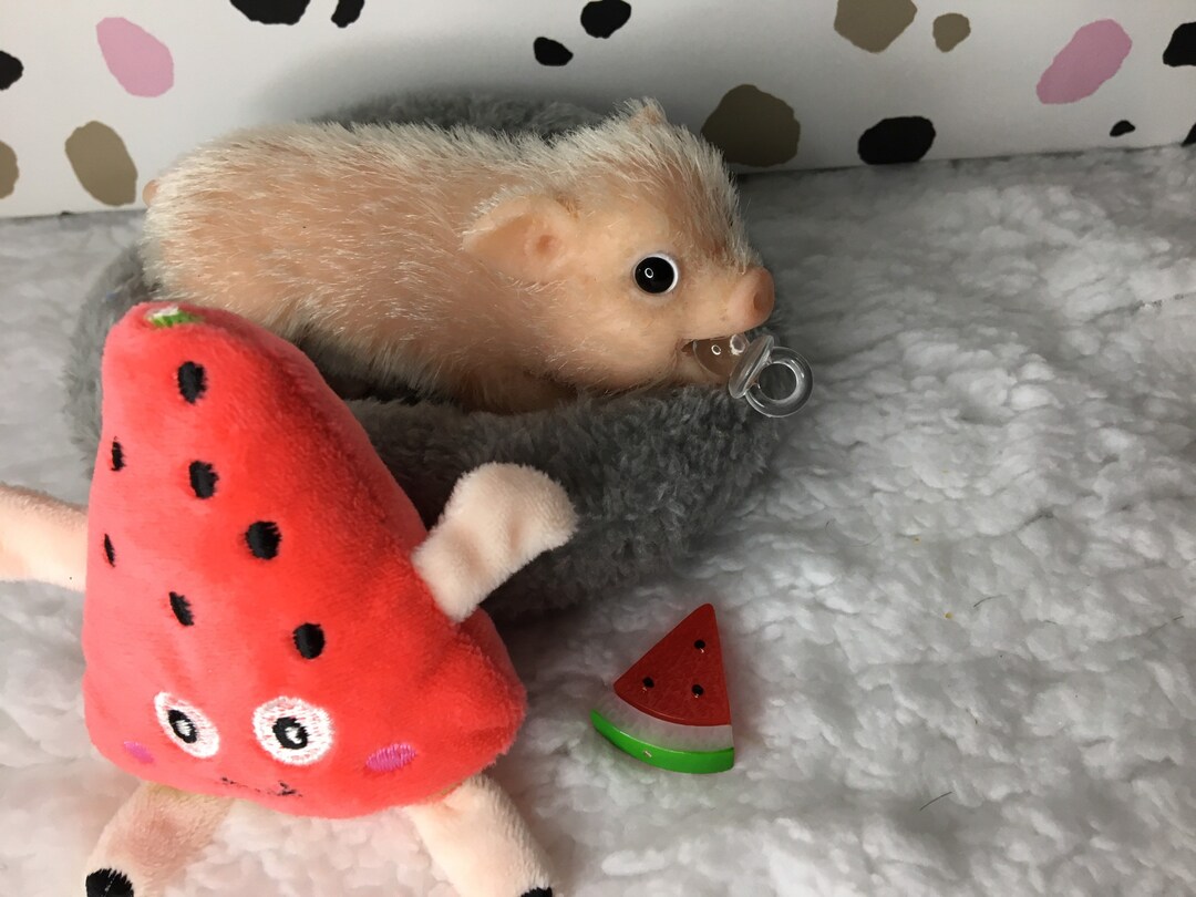 Micro Piglet Mini Silicone Teacup Piggy Pet Accessories Watermelon ...