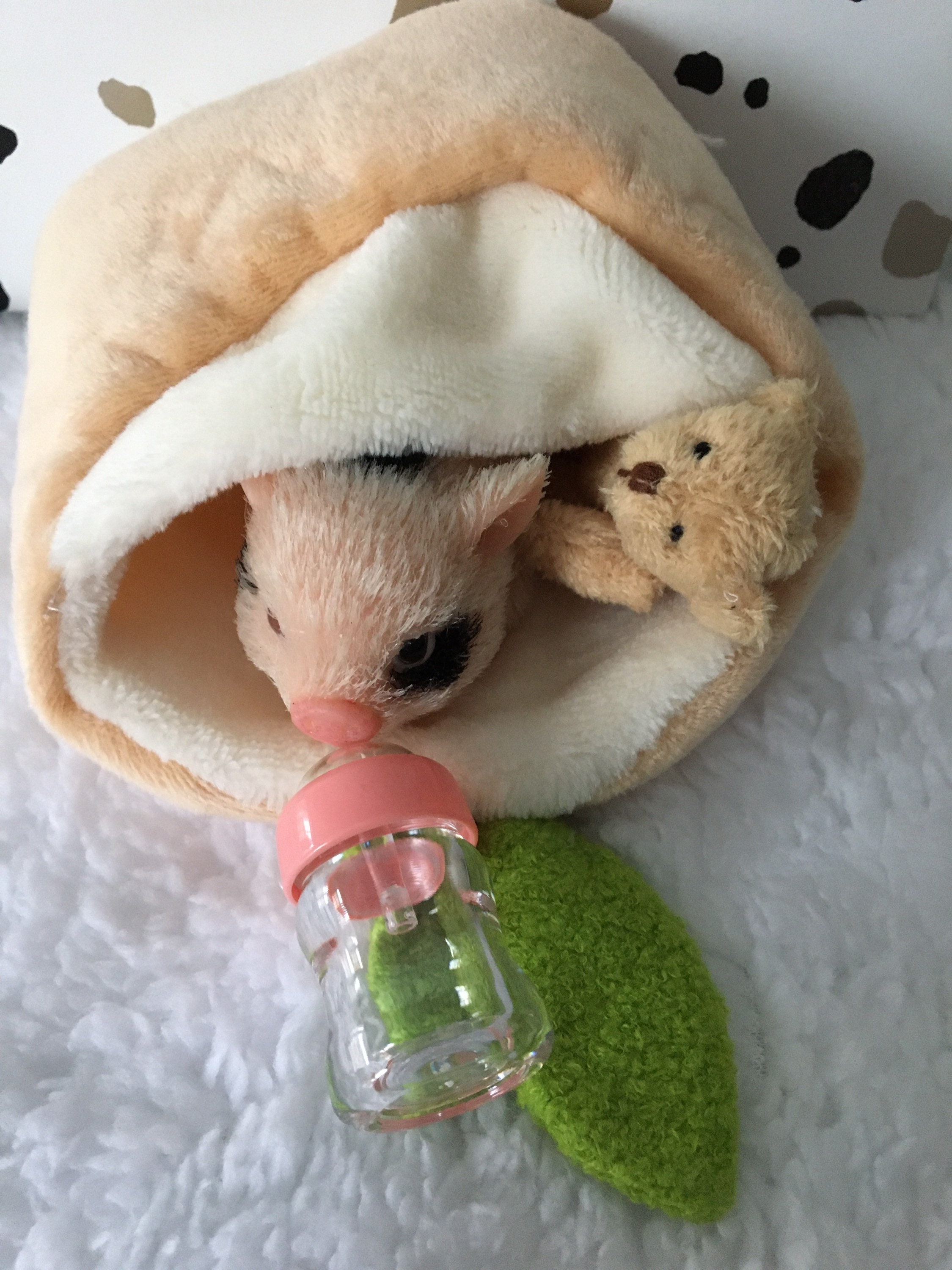 Micro Piglet Mini Silicone Teacup Piggy Pet Accessories Essentials Care ...