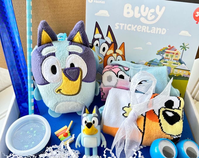 Bluey Gift Box for Kid, Bluey Gift for Tween, Gift Basket for Kids ...