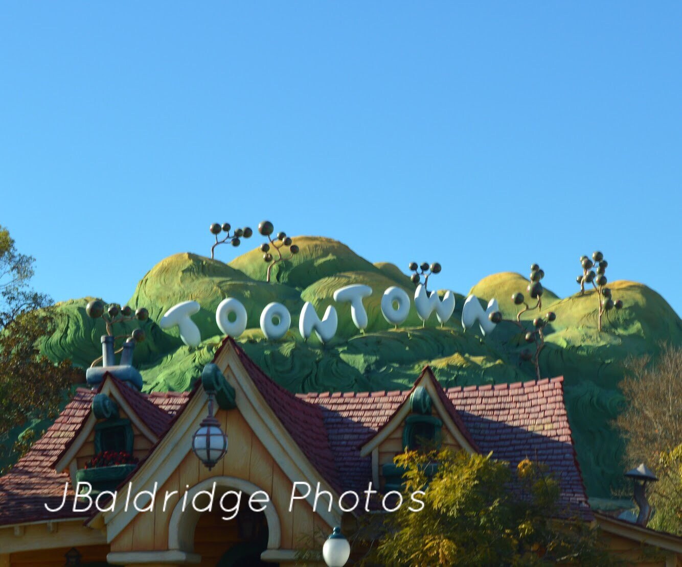 Toontown Sign Photo - Etsy