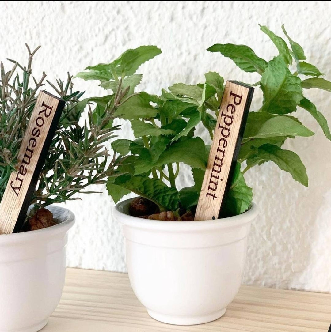 Personalised Engraved Herb Signs/seedling/plant/garden Signs Made From ...