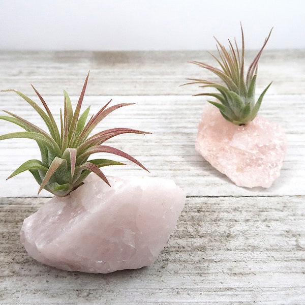 Crystal Planter - Etsy