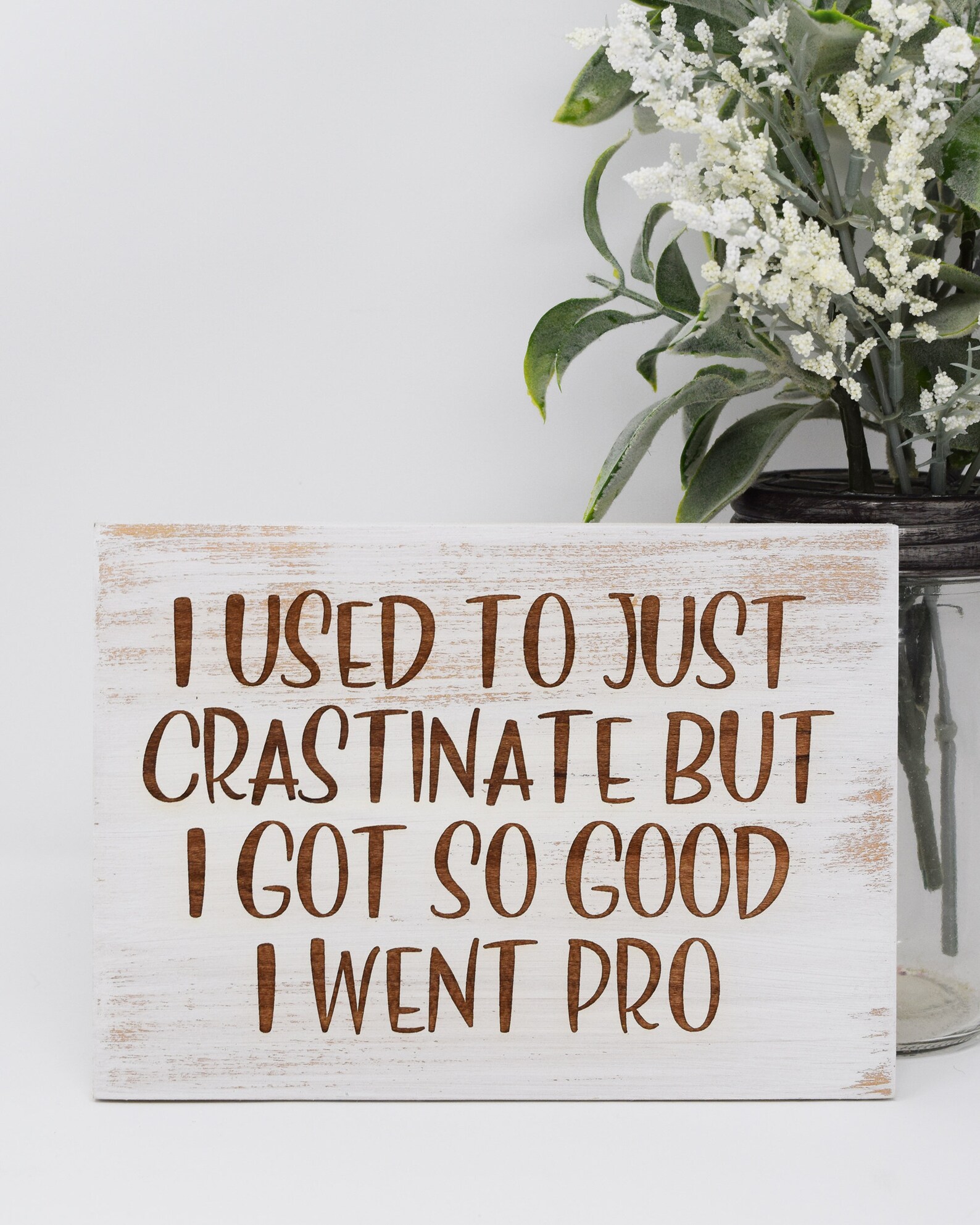 I Used to Just Crastinate but I Got so Good I Went Pro 5x7, 8x12, 10x15 ...