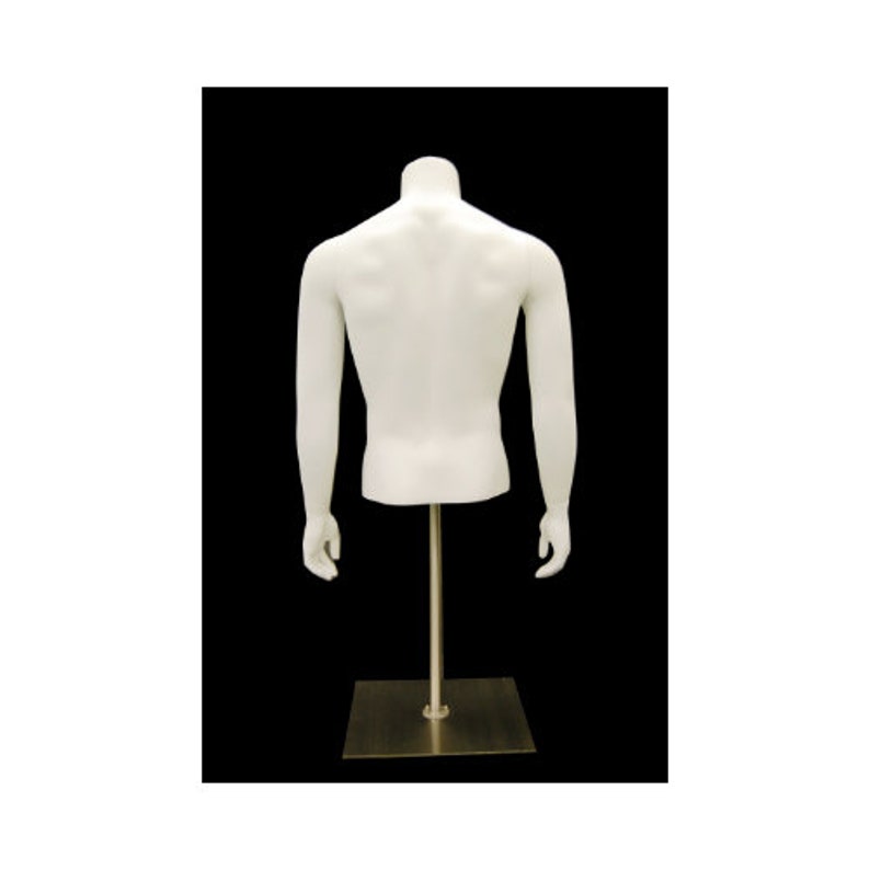 Headless Adult Male Mannequin Matte White Fiberglass Torso - Etsy