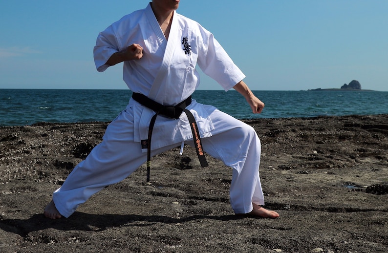 Kyokushin/karate/uniform/dogi/jersey/cambat/極真/空手/極真会館/空手衣 - Etsy UK