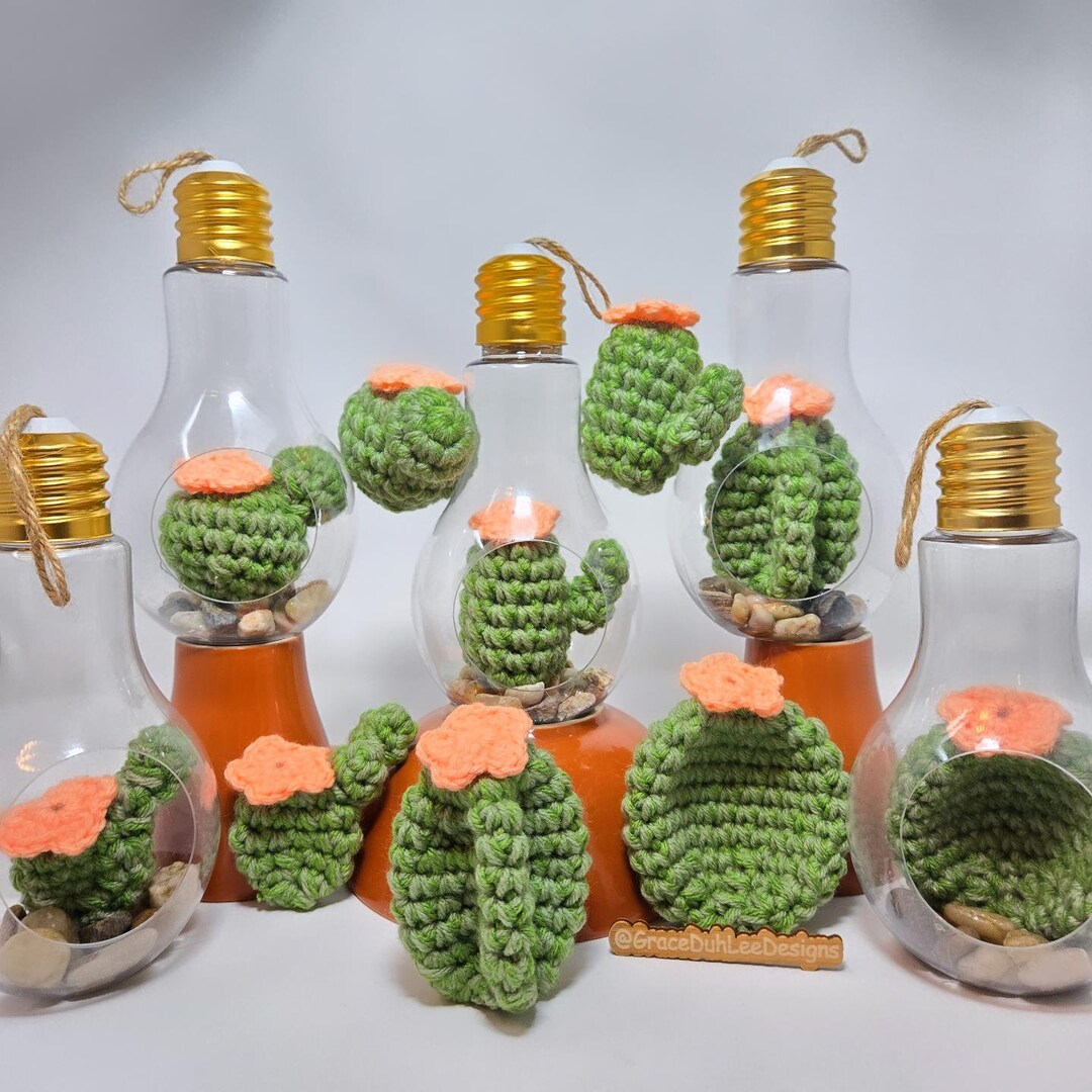 No Water Wilt or Worry Plants Crochet Cactus Terrarium - Etsy