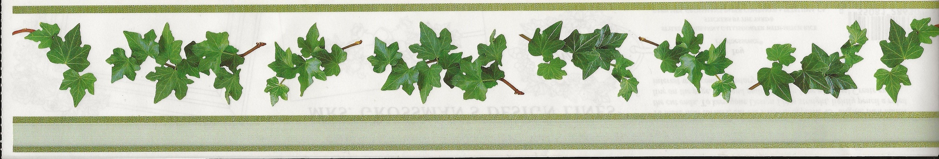 Mrs. Grossman's Design Lines ~ Ivy ~ Overlays ~ Trailing Ivy ~ HTF ...