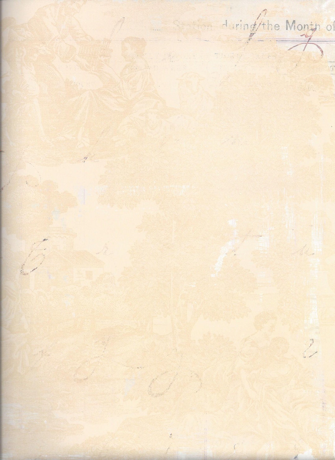 Daisy D's ~ 12 X 12 Decorative Scrapbook Paper ~ No. 25 - Etsy