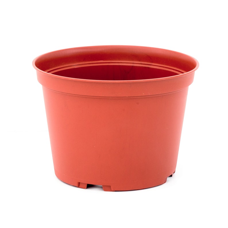 6 Inch Sturdy Plastic Nursery Pots Round TERRA COTTA COLOR | Etsy