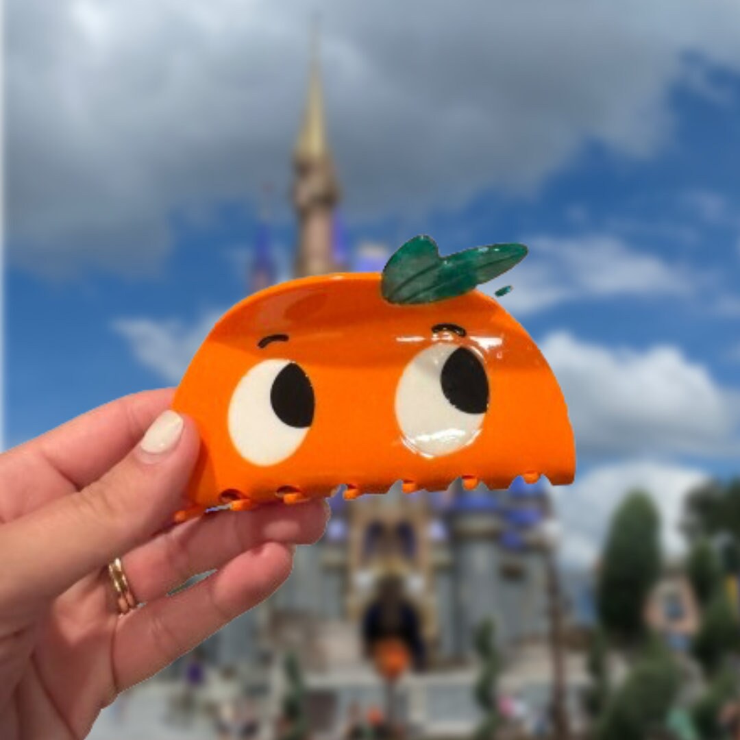 Orange Bird Disney Inspired Hair Claw Clip - Etsy