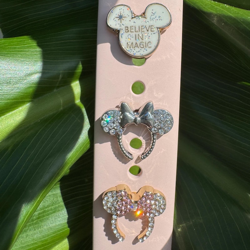 Glitter for Magic Band - Etsy