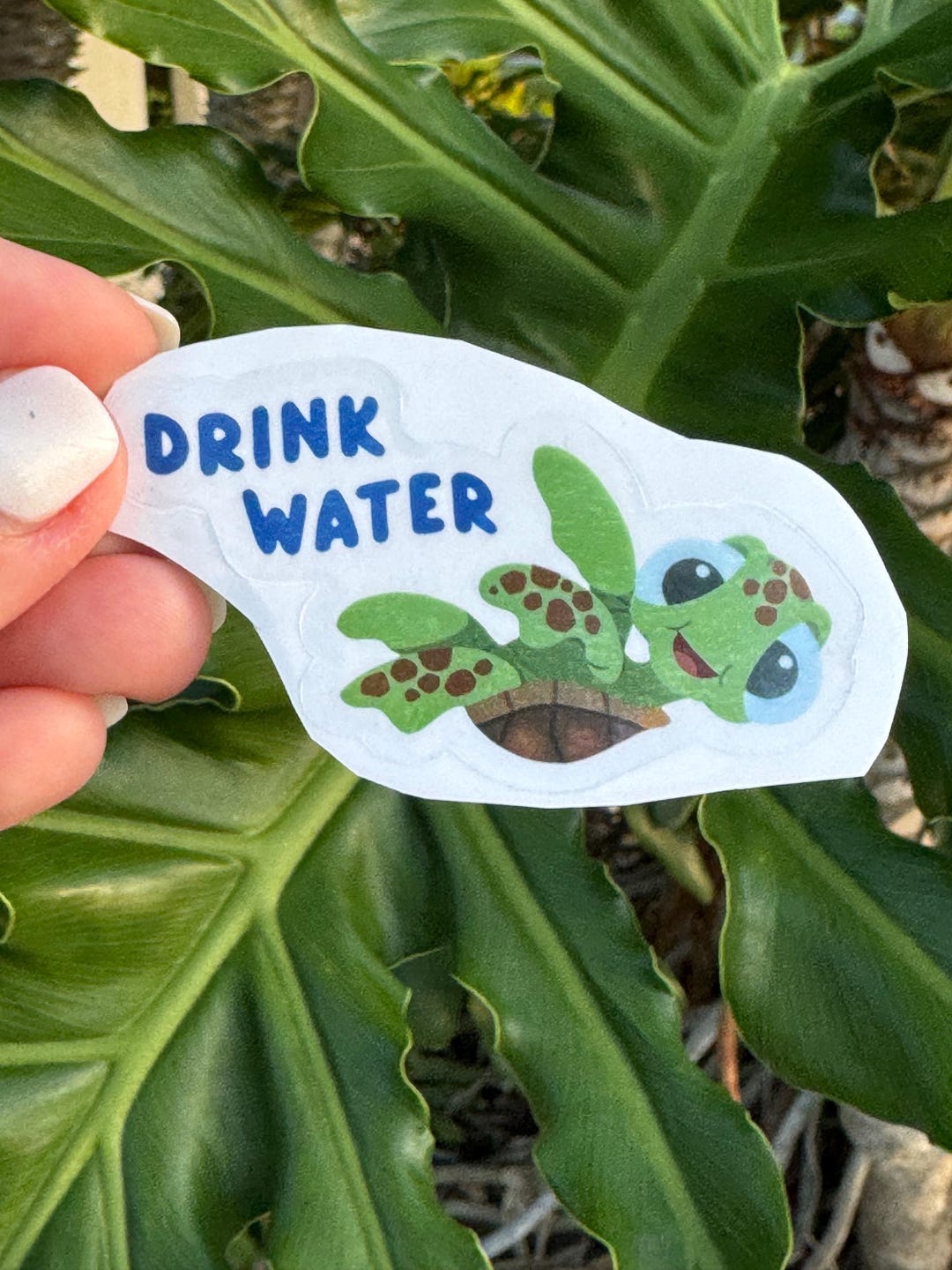 Drink Water Transparent Finding Nemo Dude the Turtle Inspired Disney ...