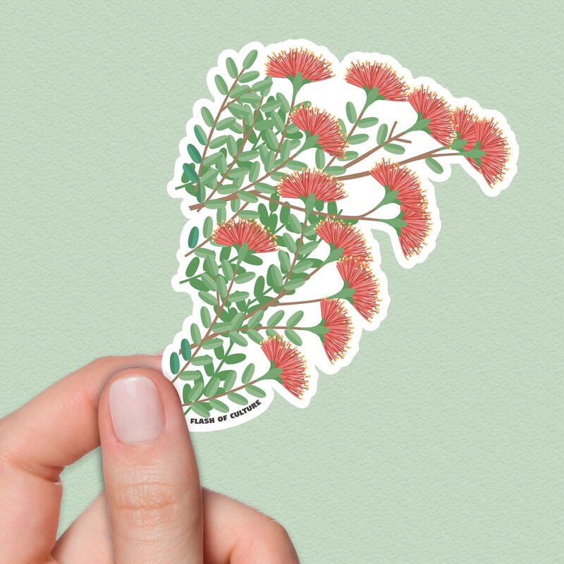 Pohutukawa - Etsy