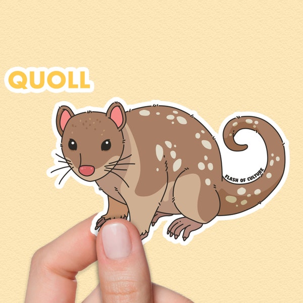 Quoll - Etsy