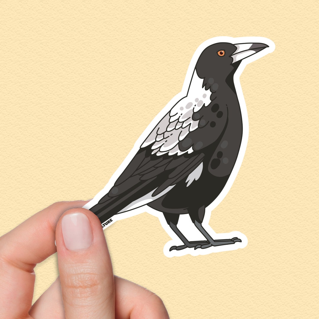 Australian Magpie Sticker, Australian Birds Decals Waterproof for Water ...