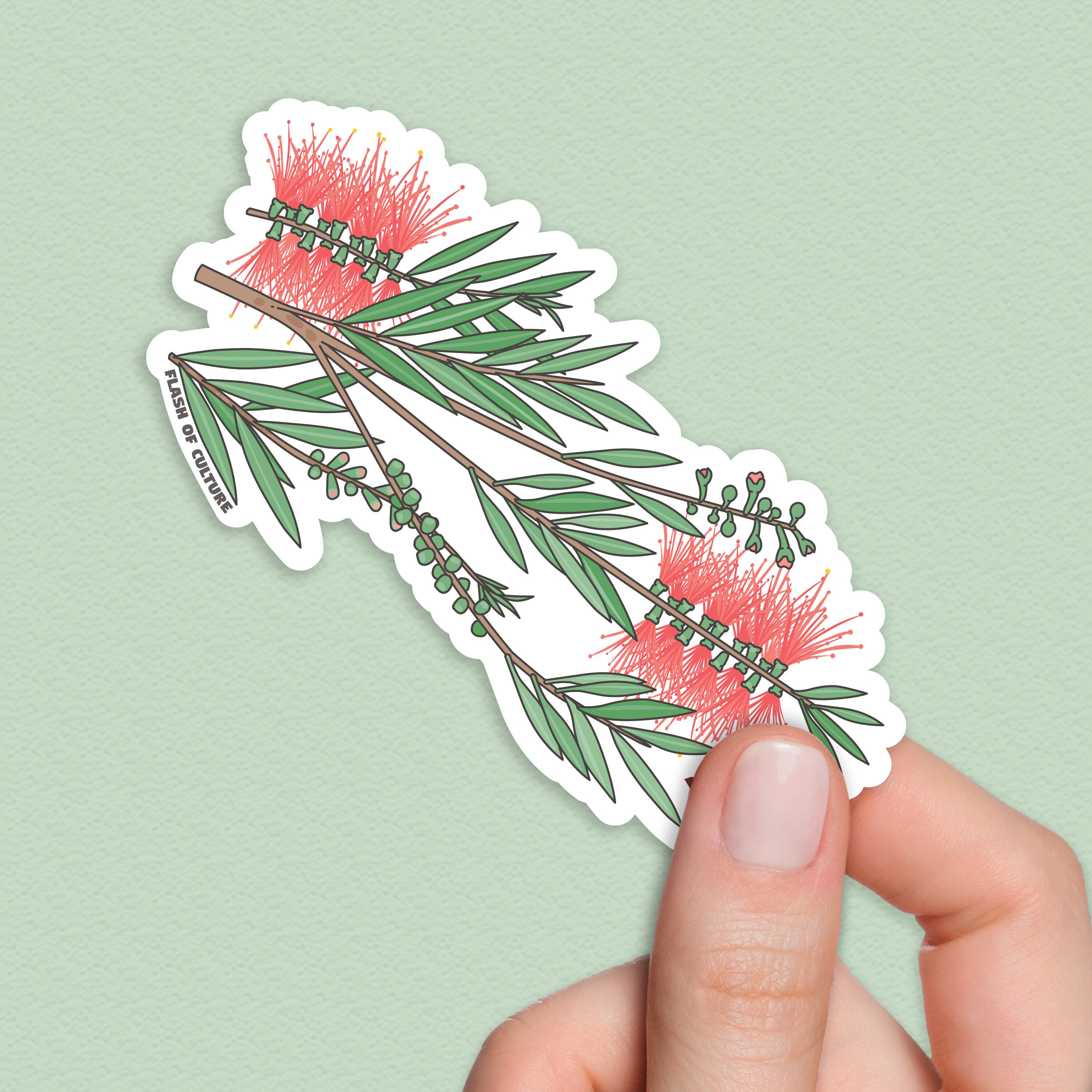 Native Australian Flower Sticker Collection Set of 6 | Etsy