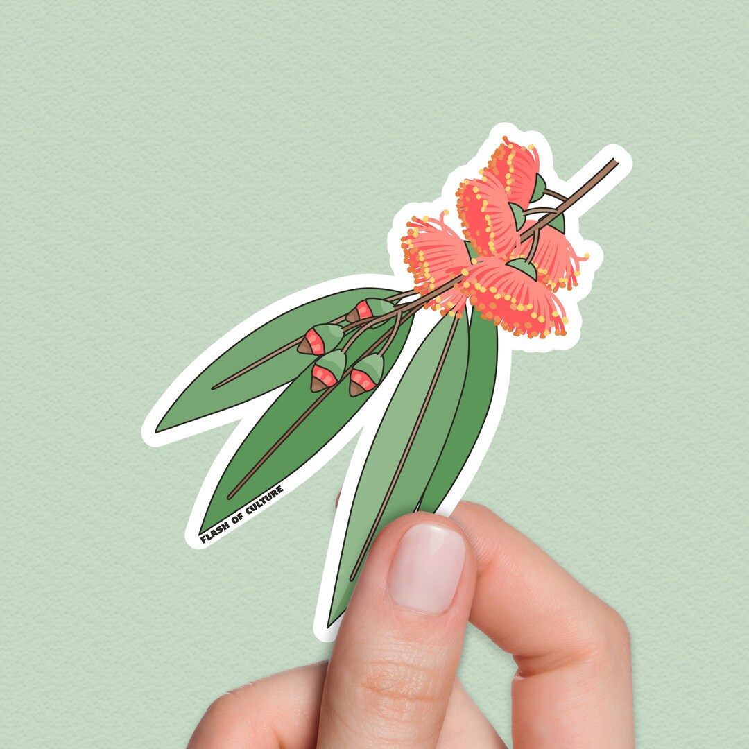 Gum Nut Flowers Sticker, Native Australian Plants, Eucalyptus Decal ...