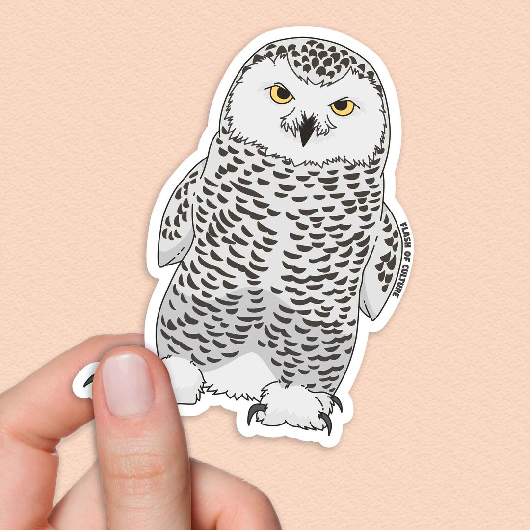 Owl Sticker, Snowy Owl Sticker, White Owl Sticker - Etsy