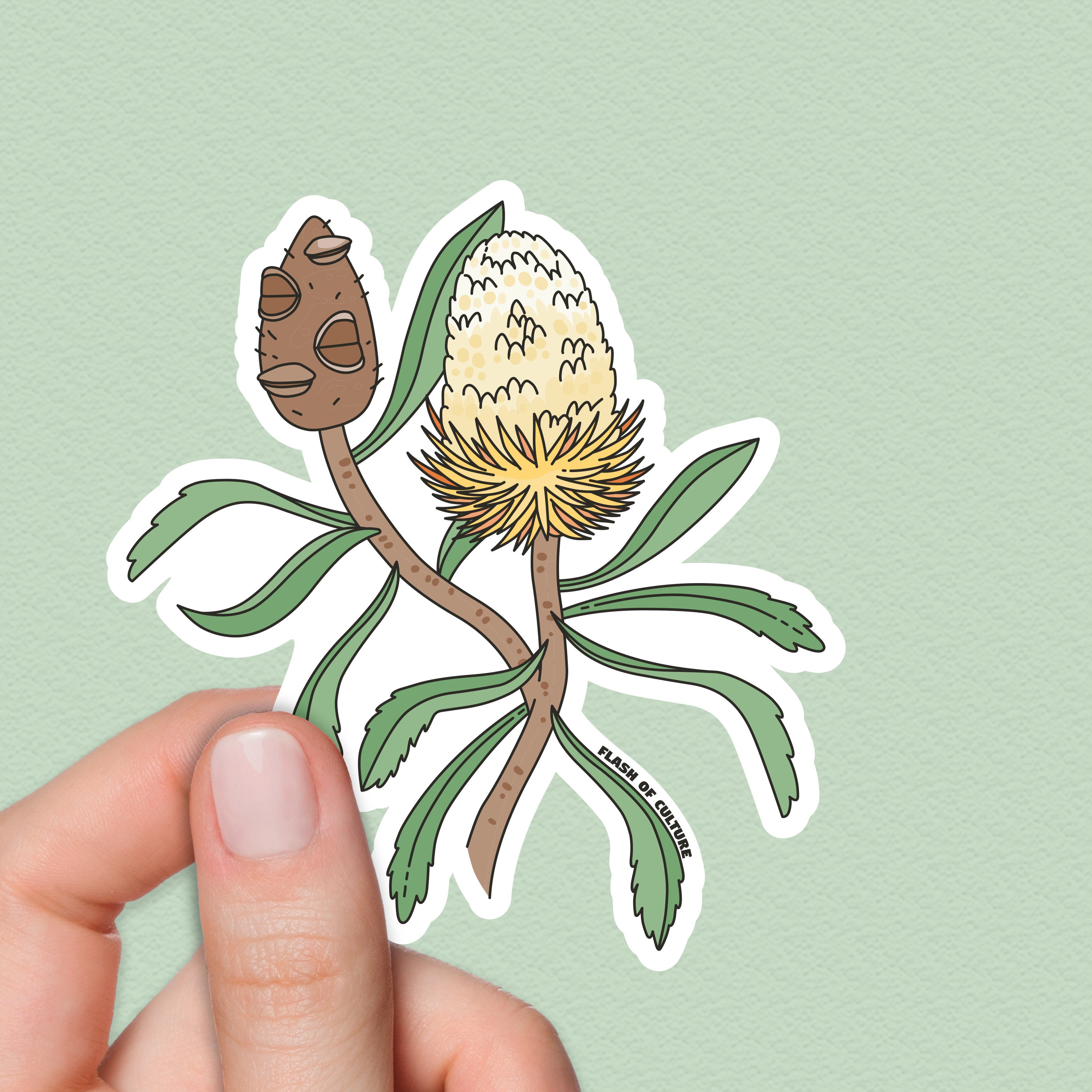 Native Australian Flower Sticker Collection Set of 6 | Etsy