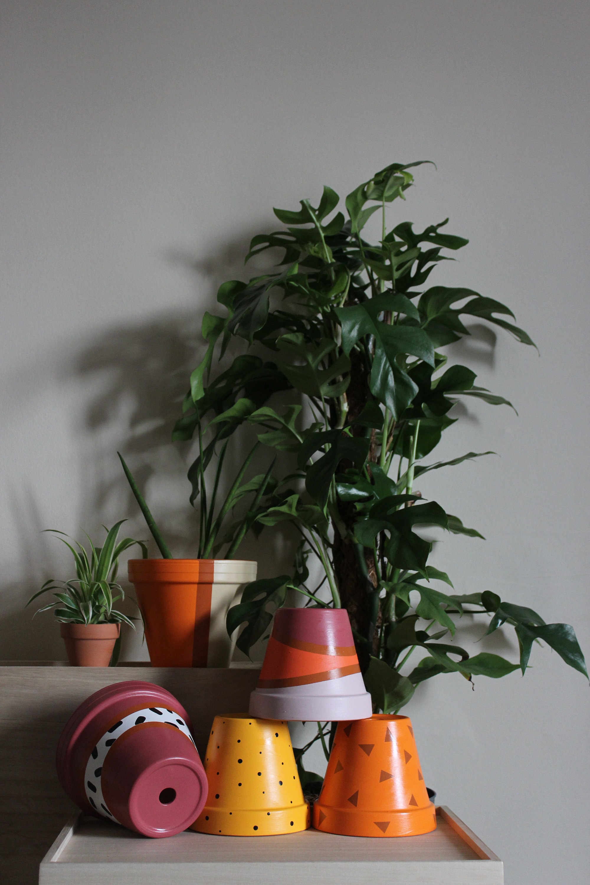 MYSTERY hand painted plant pot multiple sizes and saucers | Etsy