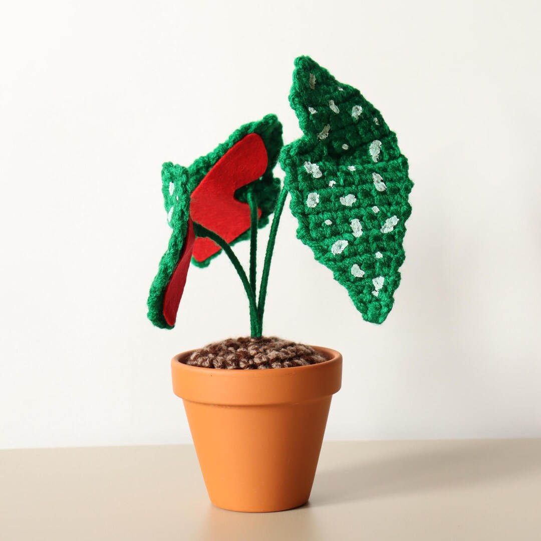Crochet Begonia Maculata, Polka Dot Begonia in Terracotta Plant Pot ...