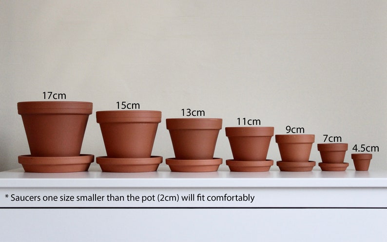 Hand Painted Terracotta Plant Pot for Houseplants - Etsy