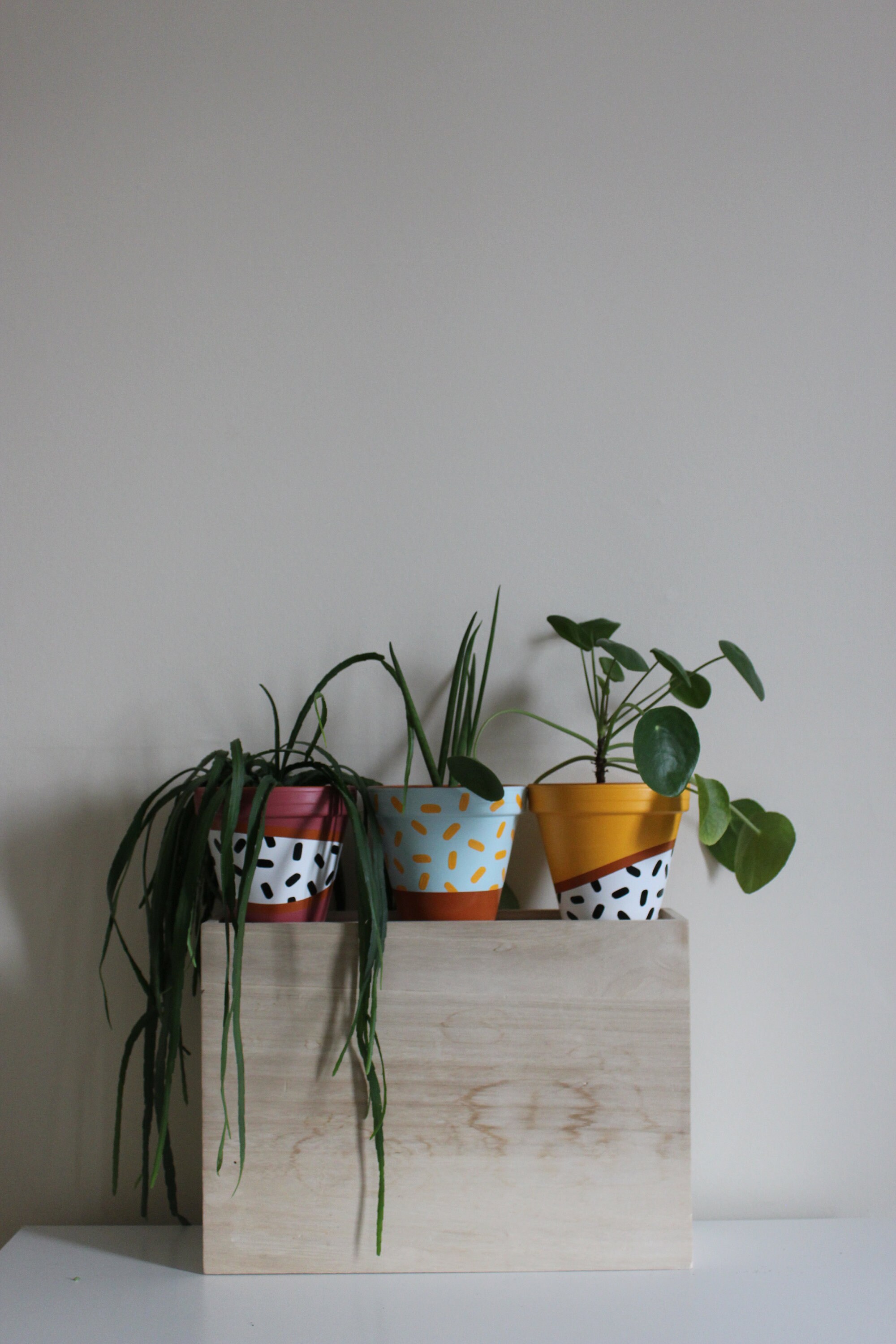 MYSTERY hand painted plant pot multiple sizes and saucers | Etsy