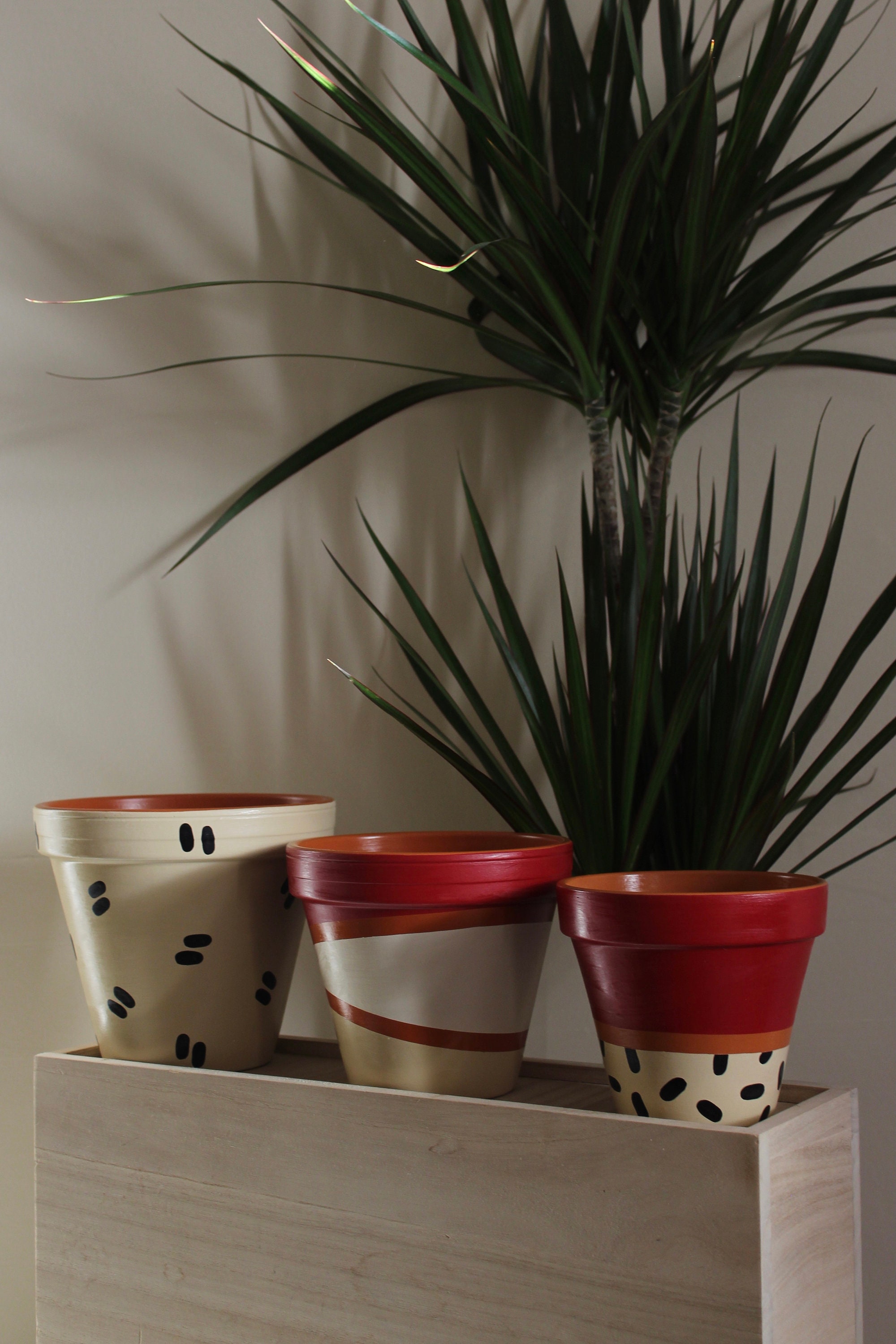 MYSTERY hand painted plant pot multiple sizes and saucers | Etsy