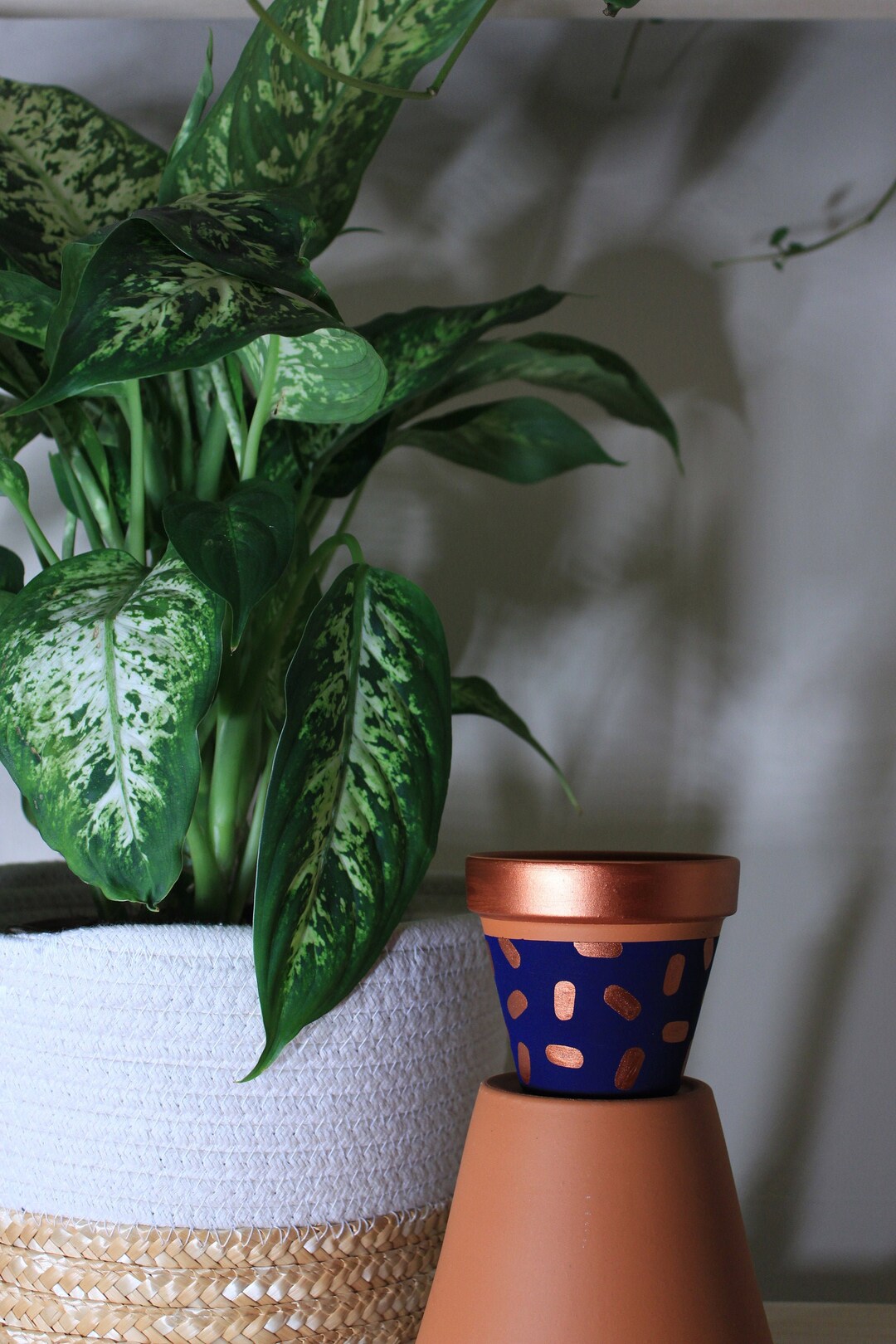 Hand Painted Terracotta Plant Pot for Houseplants | Customisable Pot ...