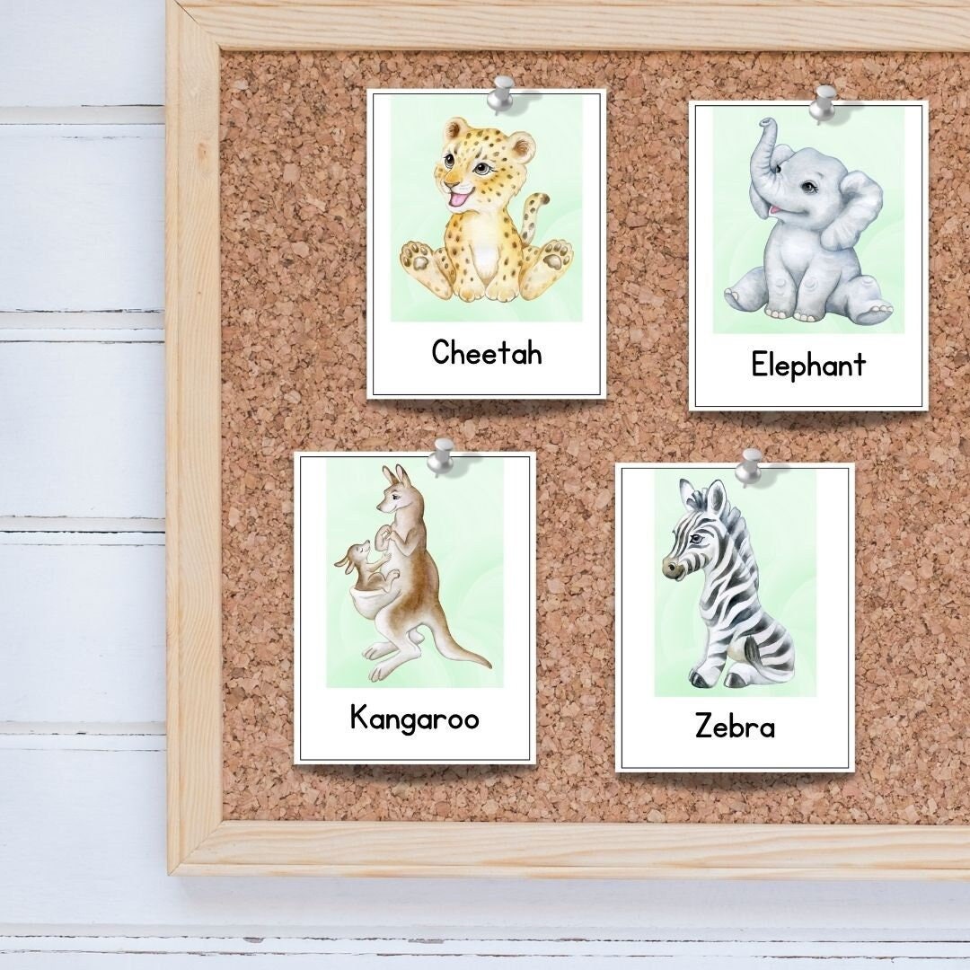 Watercolor Wild Animal Theme Class Decor, Zoo Animal Word Wall, Vocab ...