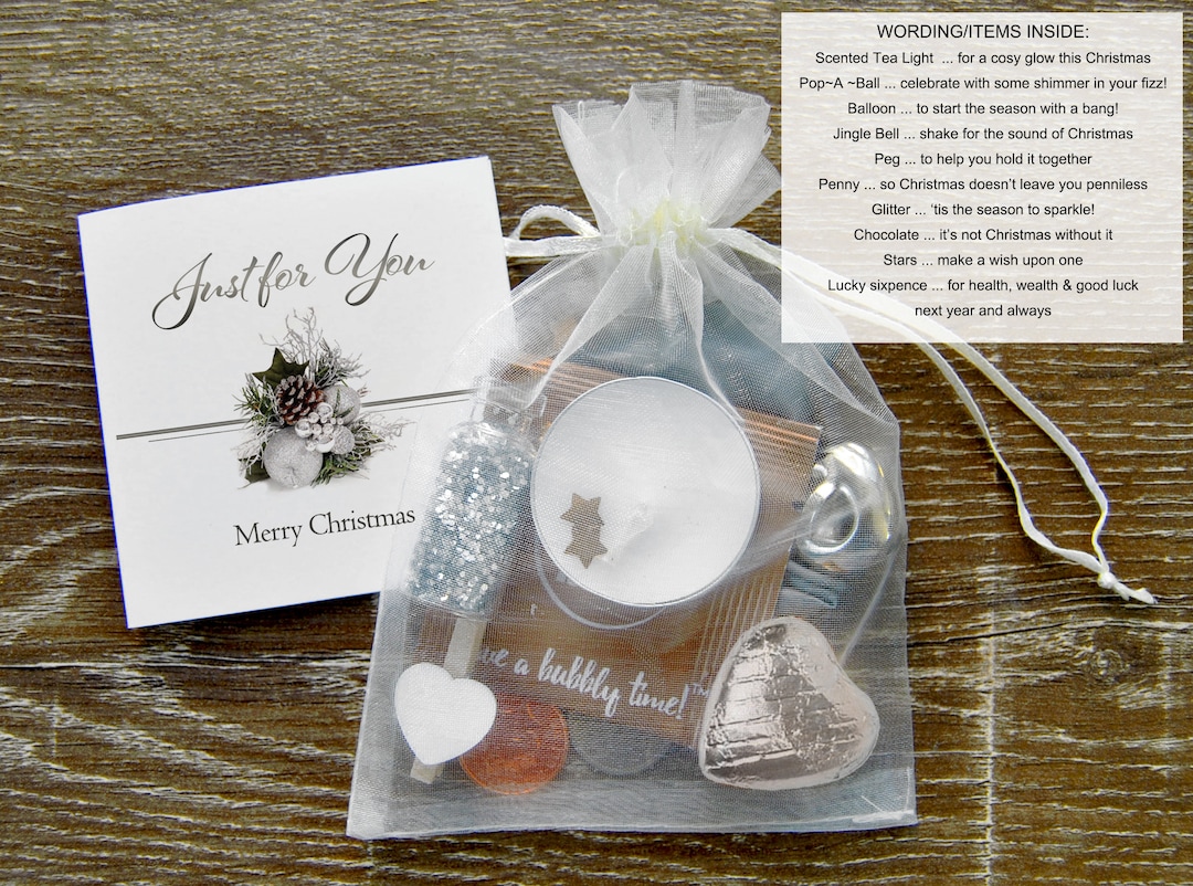 Christmas Survival Kit Xmas Gift for Friend Christmas - Etsy UK