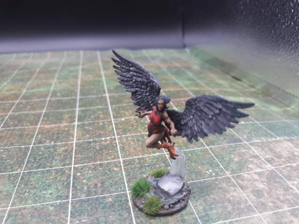 Will Paint Harpy Monster Miniature Hand Painted Dungeons | Etsy