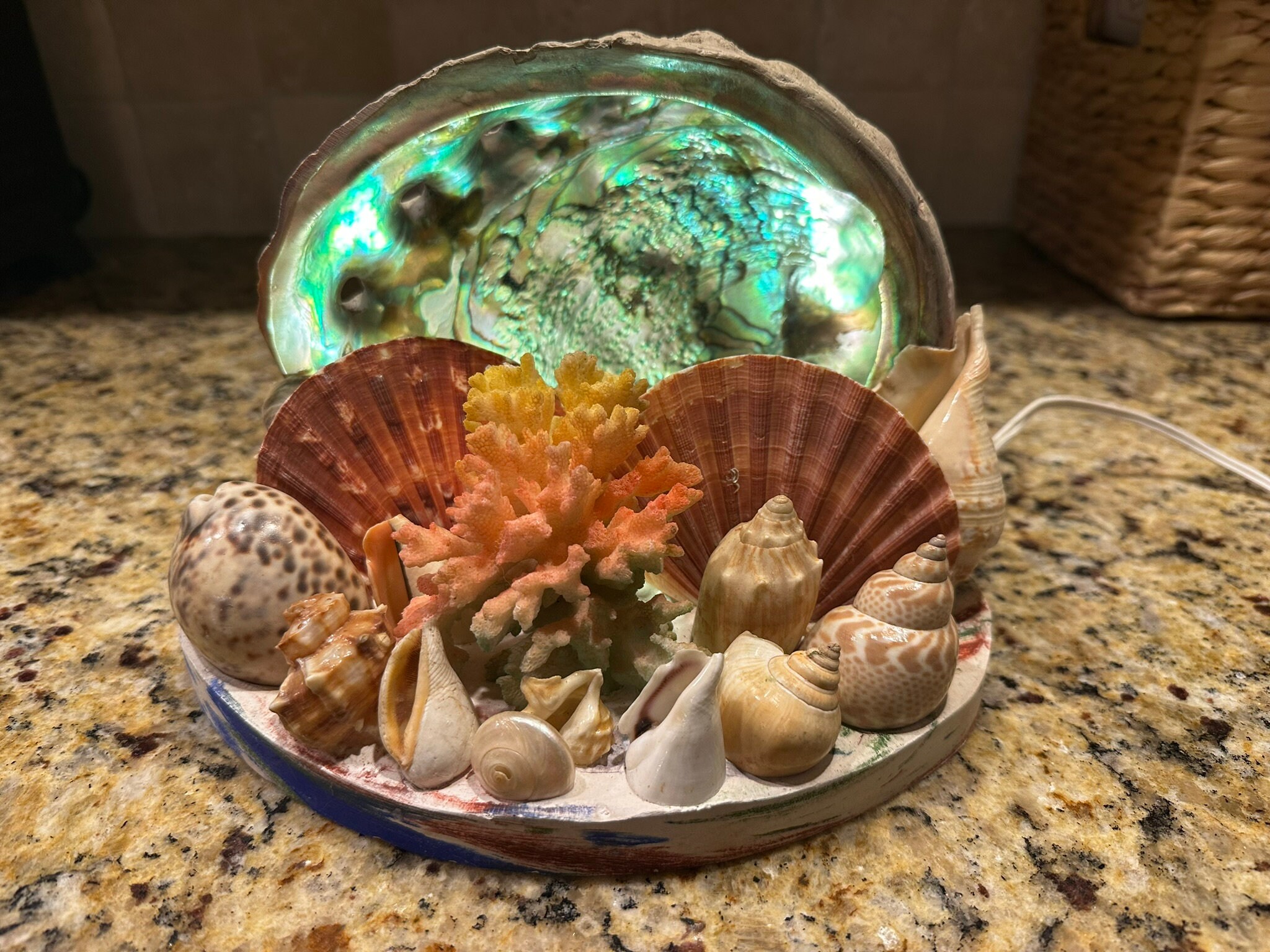 Kitschy Mid-century Seashell TV Lamp 1950s Décor Tropical Beach House ...