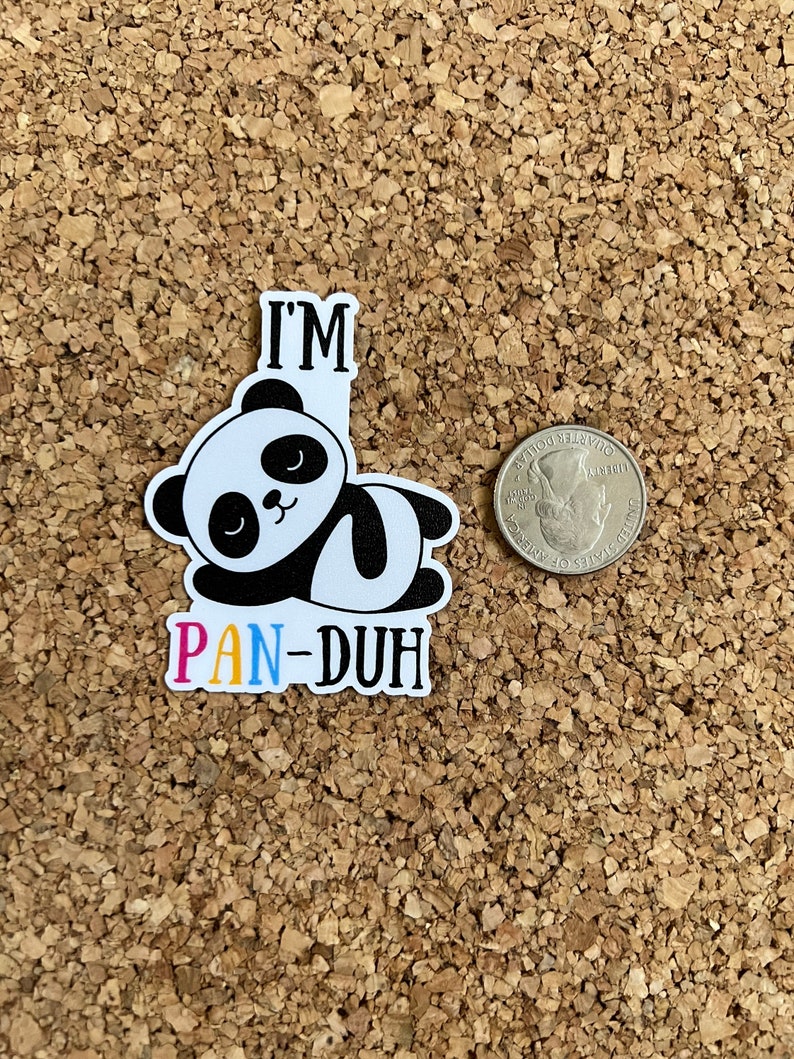 Im Pan-duh Vinyl Pansexual Sticker Panda Pun Gay Pride - Etsy