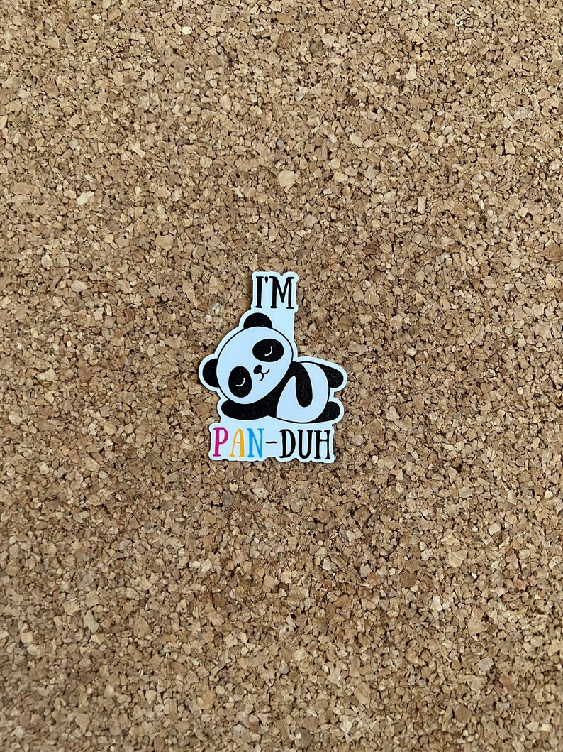 Im Pan-duh Vinyl Pansexual Sticker Panda Pun Gay Pride - Etsy