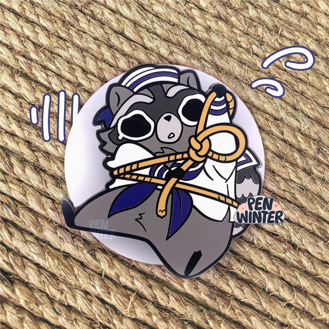 Sailor Raccoon Enamel Pin - Etsy