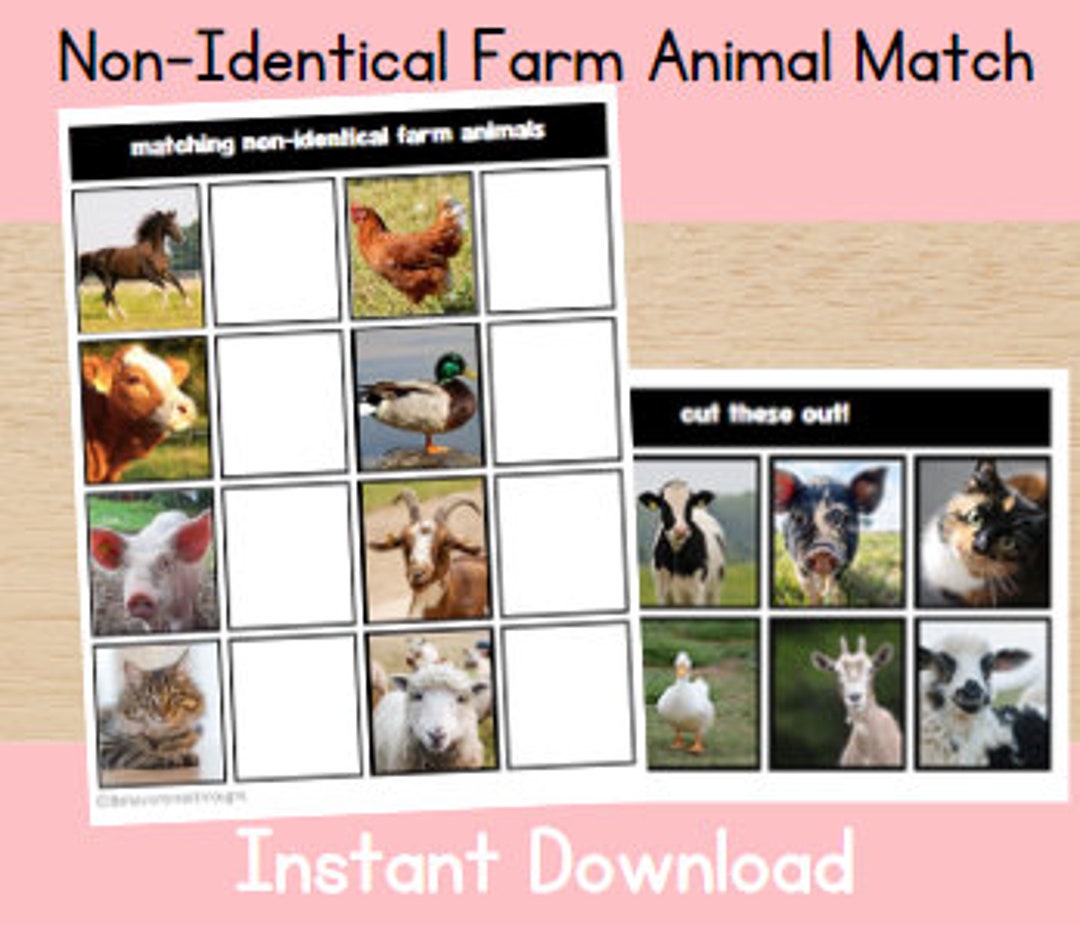 Non-identical Farm Animal Match- Real Images - Etsy