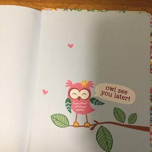 Cute Kid's Owl Journal Hard Cover With Extras & Bonus Blank Smaller ...