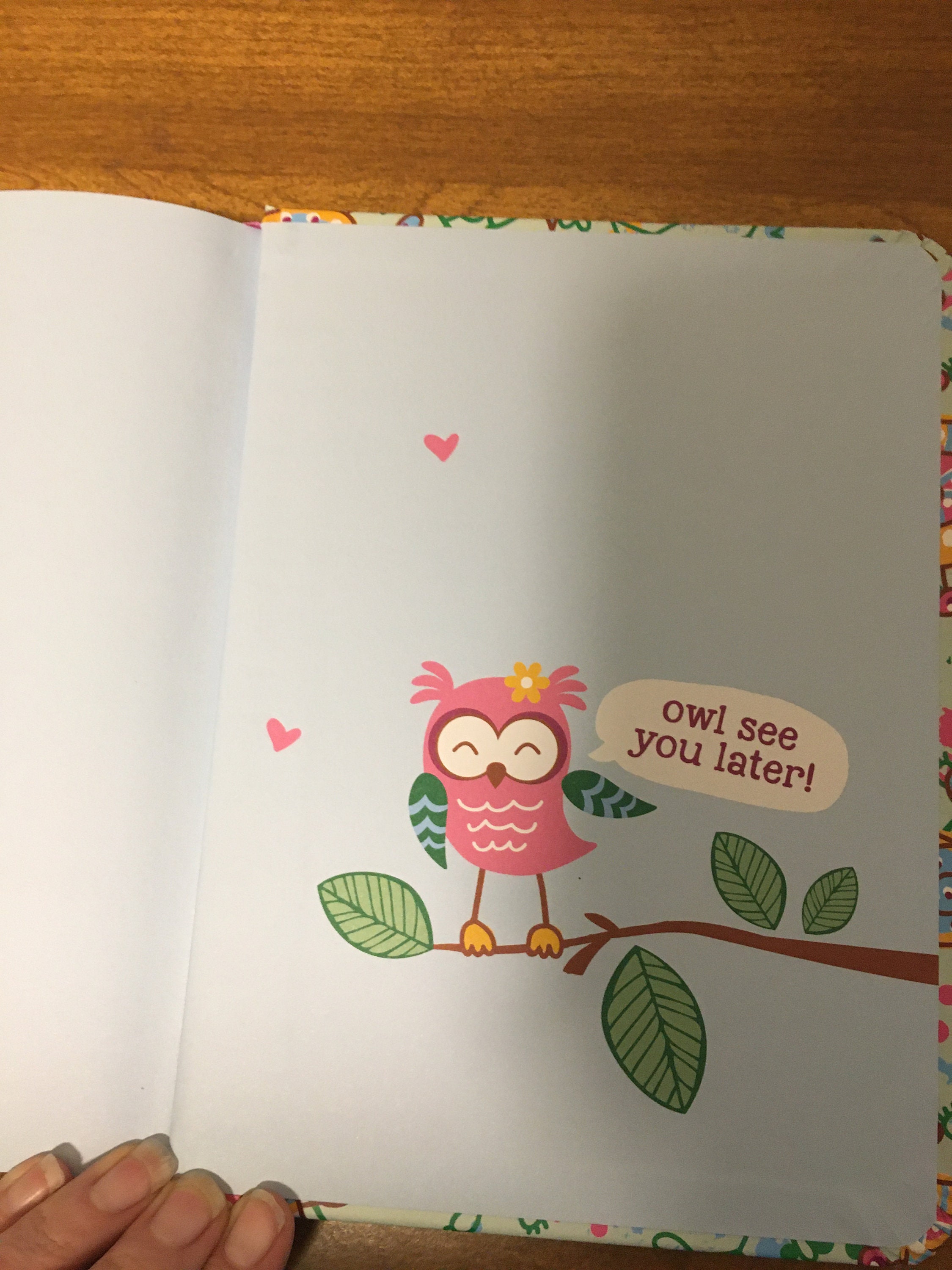 Cute Kid's Owl Journal Hard Cover With Extras & Bonus Blank Smaller ...