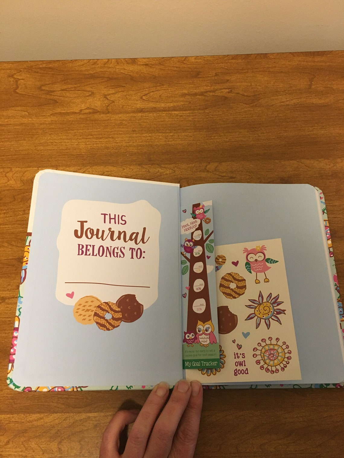 Cute Kid's Owl Journal Hard Cover With Extras & Bonus Blank Smaller ...